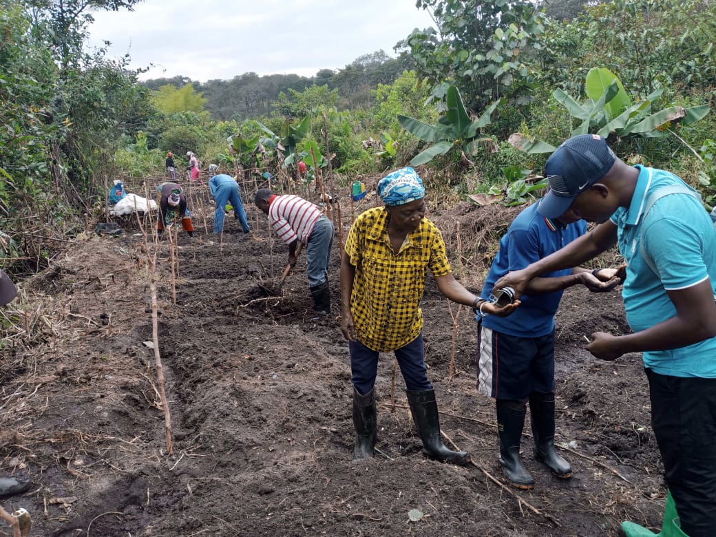 Kulima Ku Tatuisa Kulia - Cáritas Portuguesa